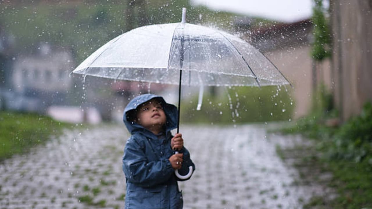 Karnataka Rains: Heavy Rain Forecast Issued For Bengaluru; IMD Issues ...