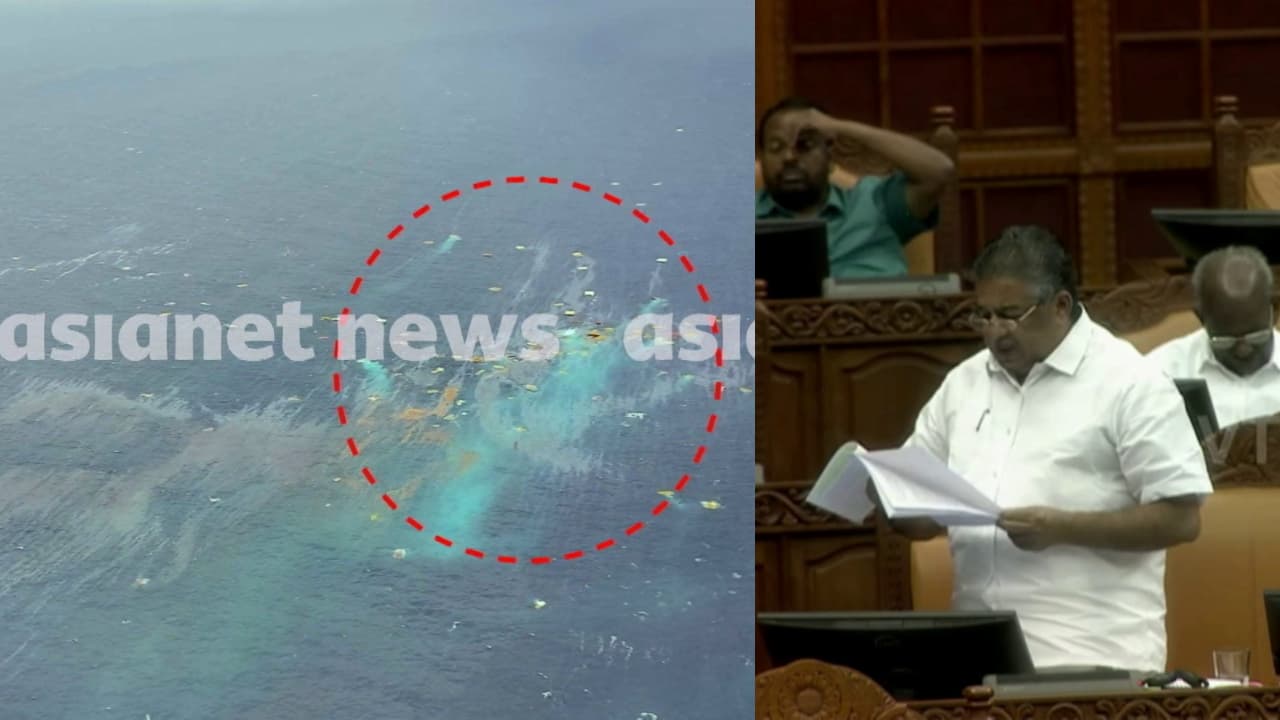 എംഎസ്സി എൽസ-3 അപകടം, വൻതോതിൽ മാലിന്യം അടിഞ്ഞു, മത്സ്യത്തിനും ജലത്തിനും ...