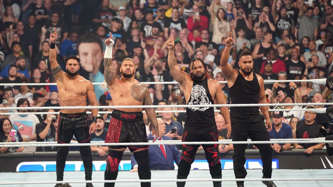 Five WWE Superstars Who Levelled Up Big and Impressed in 2025 | Asianet ...