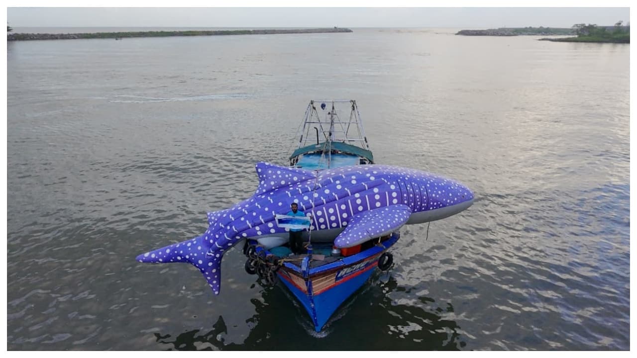 rotection of whale shark : തിമിം ഗലസ്രാവുകളുടെ സംരക്ഷണം; ബോധവത്കരണ ...