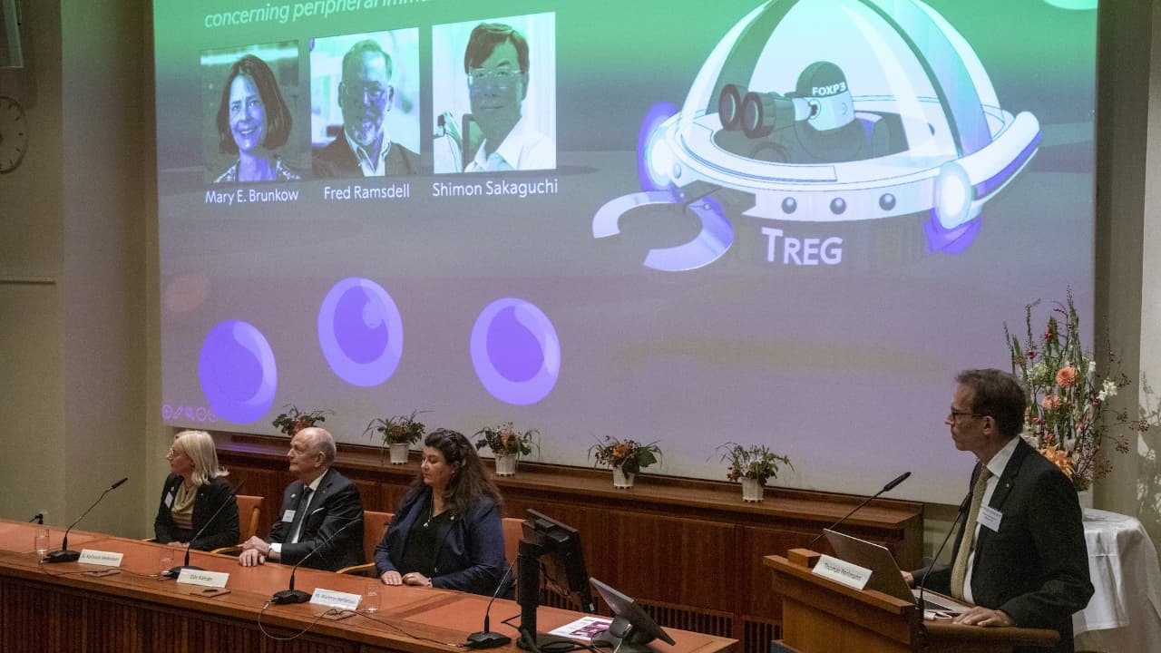 What Are Regulatory T-Cells? Nobel-Winning Discovery and Its Medical ...
