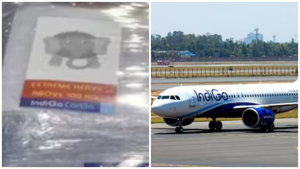 മൃതദേഹം കൊണ്ട് പോകുന്ന പെട്ടിയിൽ എക്സ്ട്രീം ഹെവി എന്ന് എഴുതി ആനയുടെ ...