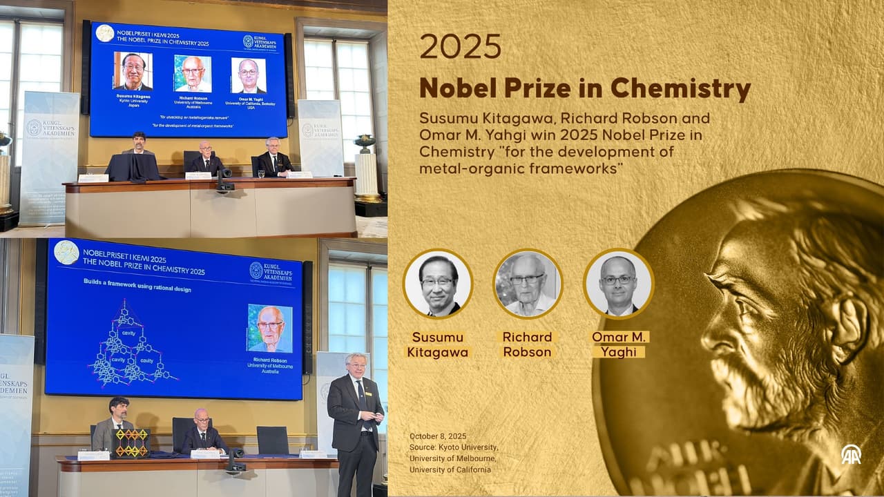 Nobel Prize 2025 Chemistry: How Do Metal-Organic Frameworks Work and ...
