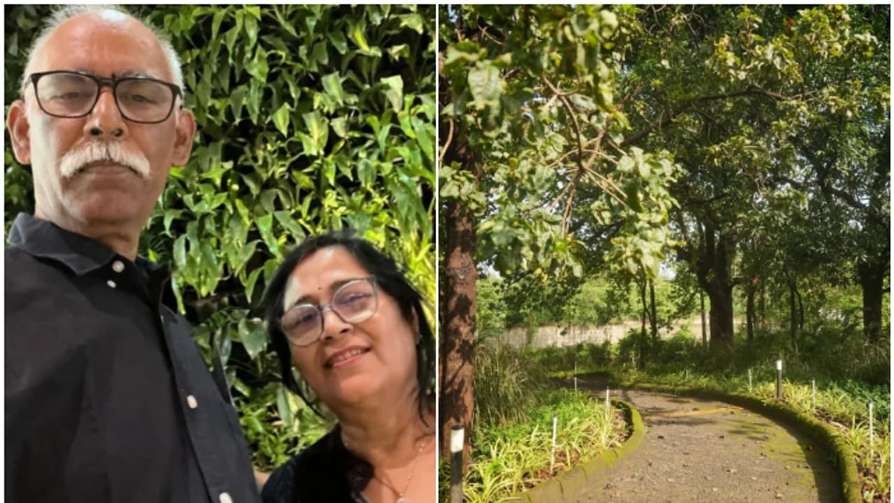 Bright Side Stories: How One Man’s Post-Retirement Plan Grew into a 20-Acre Paradise | Asianet ...