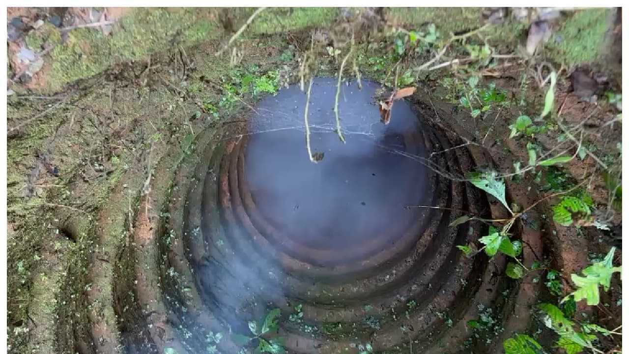 ആള്‍മറയില്ലാത്ത കിണറിൽ വലിയ ശബ്ദം, അജ്ഞാത ജീവിയെ കണ്ടു, കിണറ്റിലെ ...
