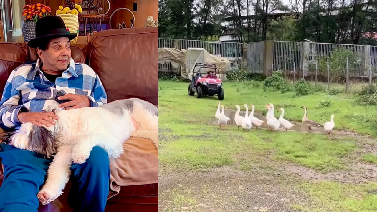 Inside Dharmendra’s 100-Acre Scenic Lonavala Farmhouse Retreat [PHOTOS] | Asianet Newsable