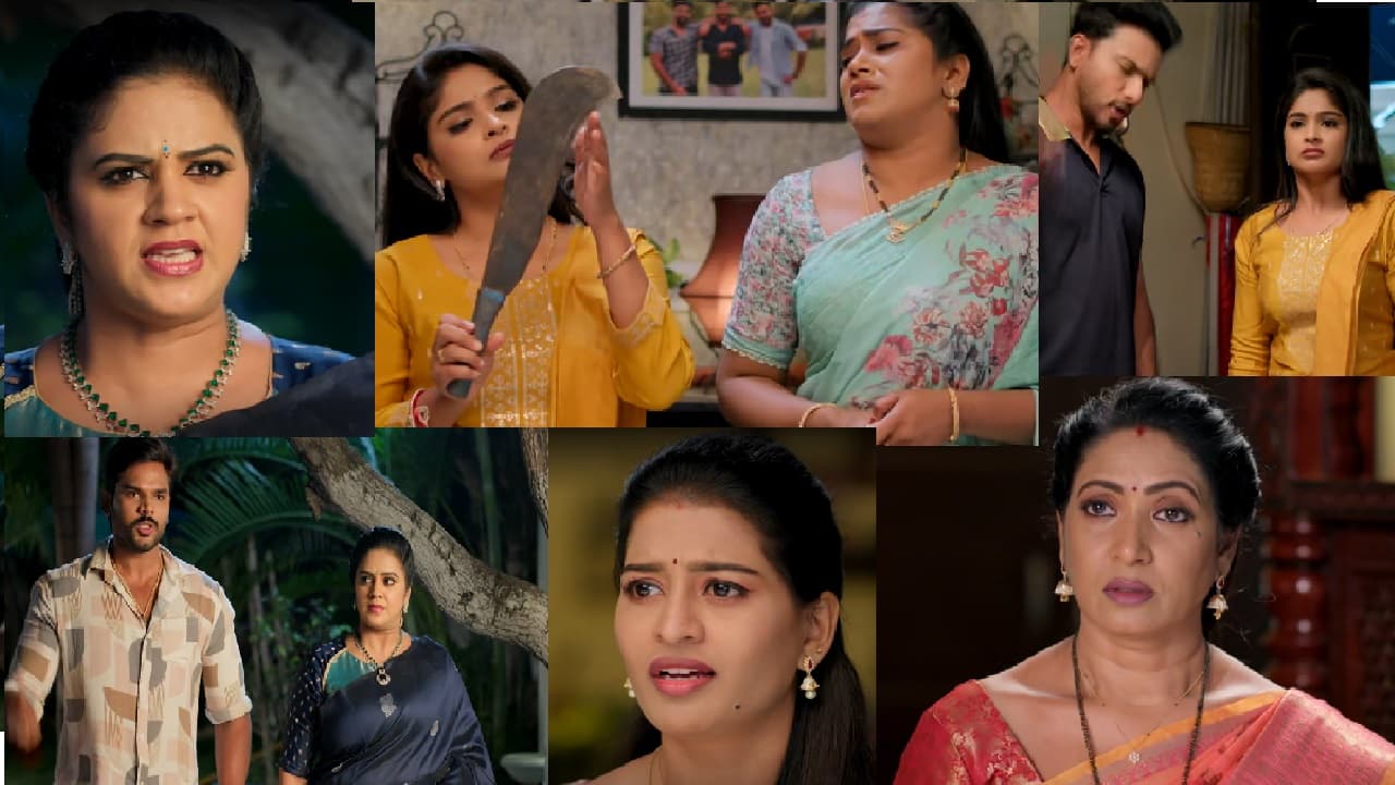 Illu Illalu Pillalu Today Episode: భార్యను పుట్టింటికి ఈడ్చుకెళ్లిన ...