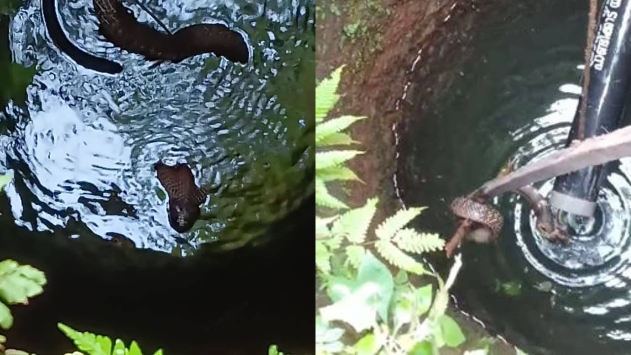 കുടിക്കാനും കുളിക്കാനും വെള്ളമെടുക്കുന്ന കിണർ, രാവിലെ വെള്ളം ...
