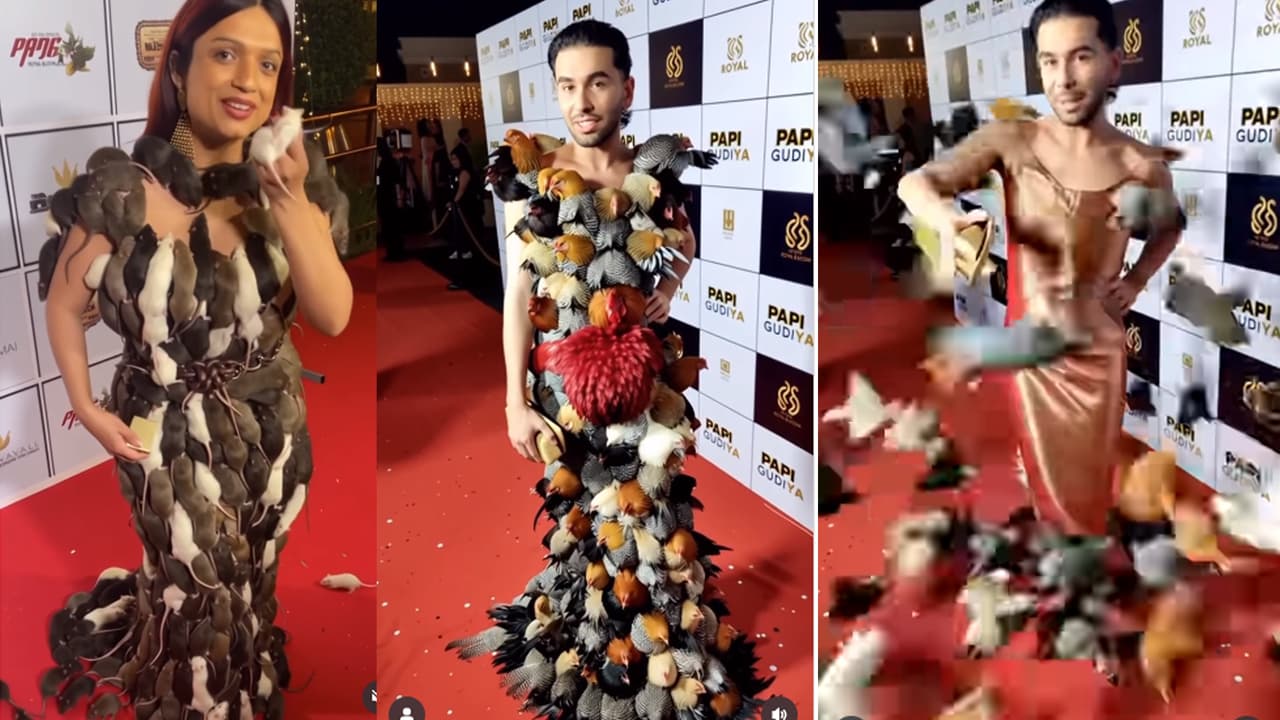 ಇದು Latest Fashion ಕಣ್ರೀ : ಜೀವಂತ ಇಲಿ- ಕೋಳಿಮರಿಗಳೇ ಇವರ ಡ್ರೆಸ್ ; ವಿಡಿಯೋ ...