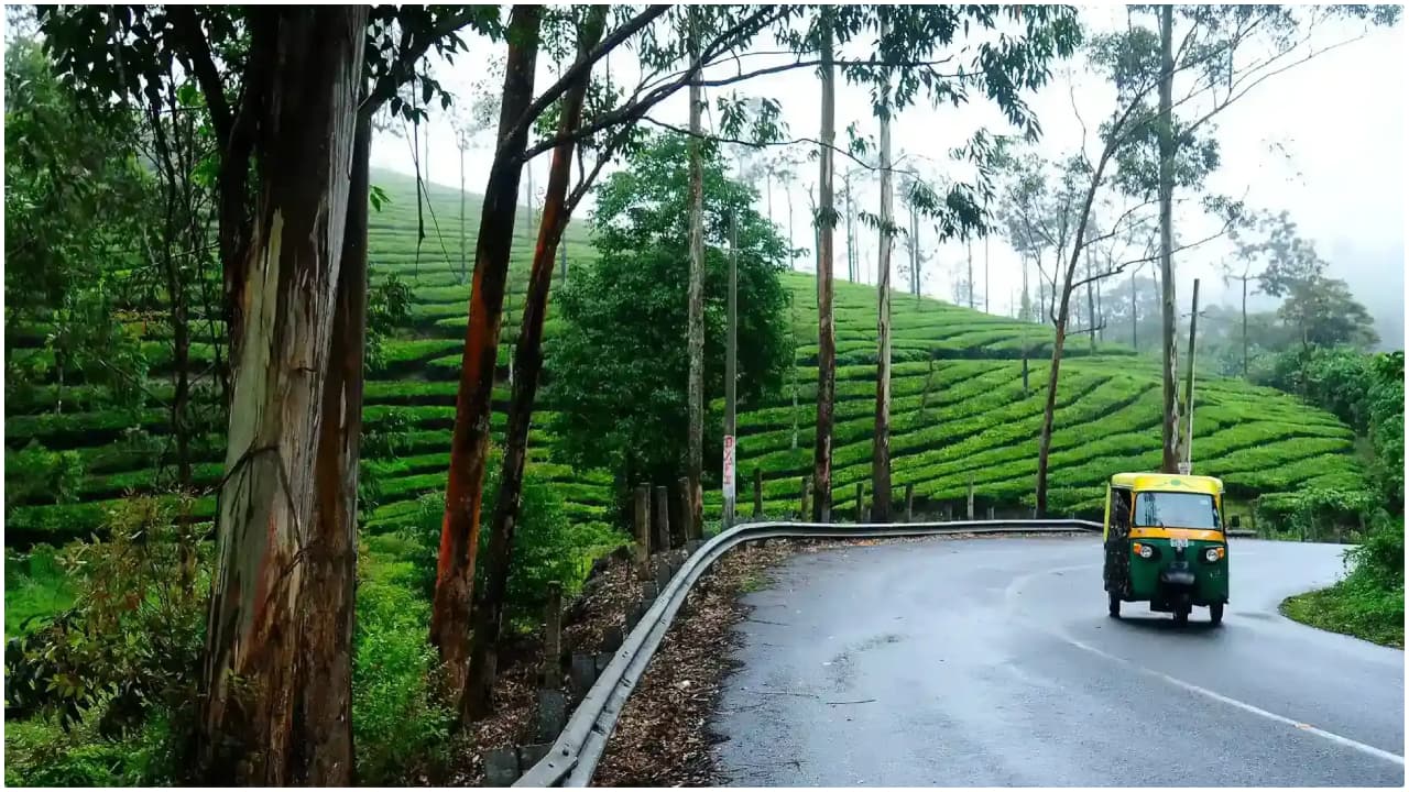 Pattumala at Peermede പച്ചപ്പട്ടുടുത്ത സ്വർഗ്ഗം; പ്രകൃതിയും വിശ്വാസവും ...