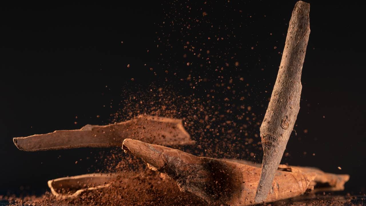 6 Winter Health Benefits of Cinnamon That Help Prevent Cold, Flu, and ...