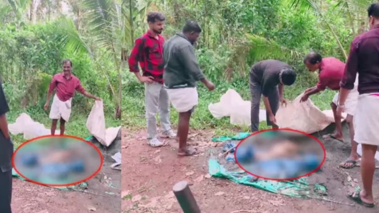 ജോലിക്കിടെ ചായ കുടിച്ച് കൈ കഴുകാൻ തിരിഞ്ഞു, നടുവണ്ണൂരി ...