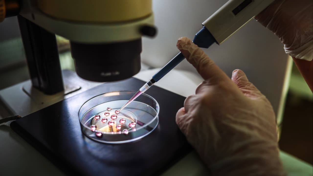AI-Assisted IVF Could Reduce Failed Cycles and Improve Pregnancy ...