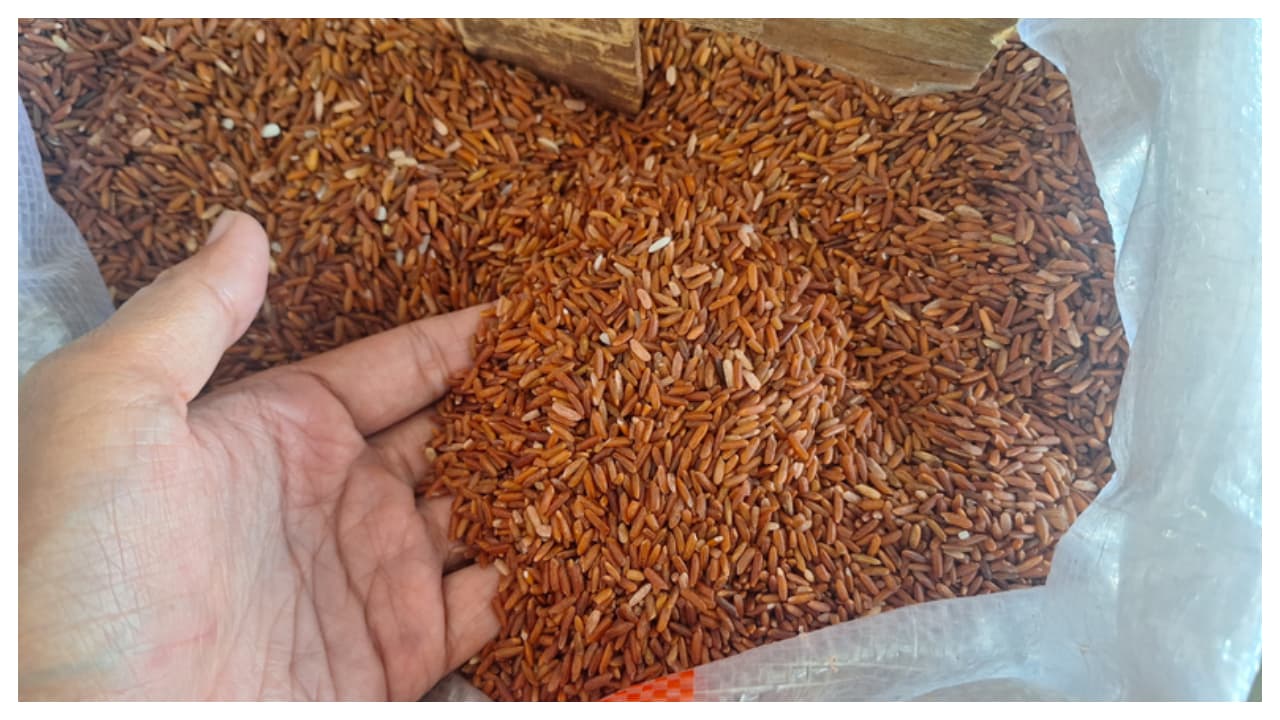 Diabetes Diet Tips: Key Dietary Changes to Manage Blood Sugar ...