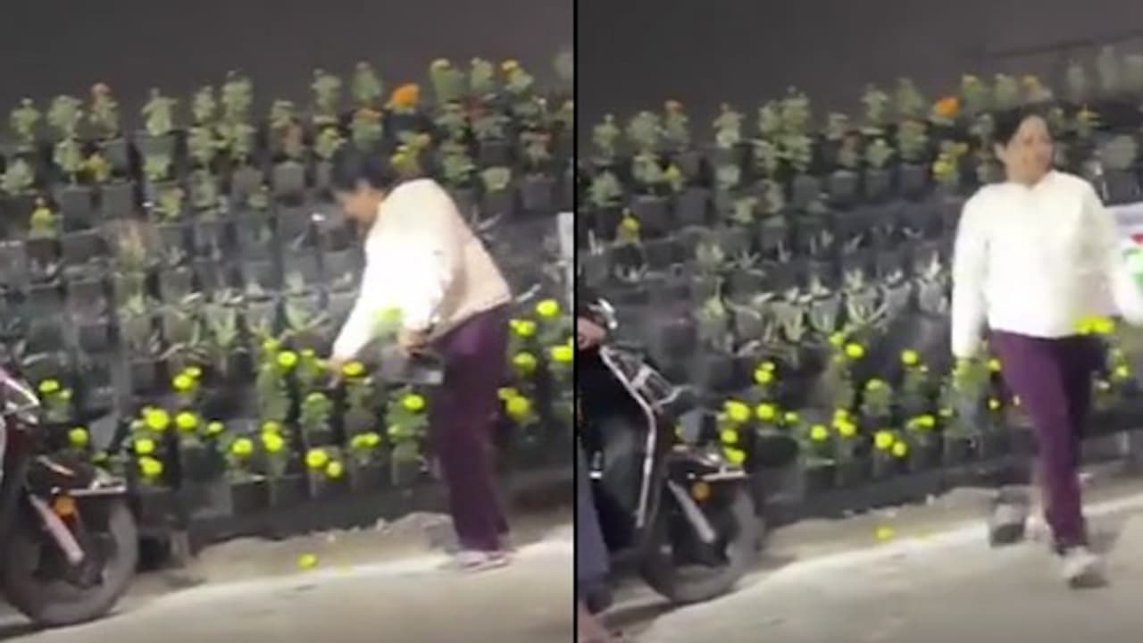 Viral Video: Flower Pots Stolen After PM Modi’s Lucknow Visit Triggers ...