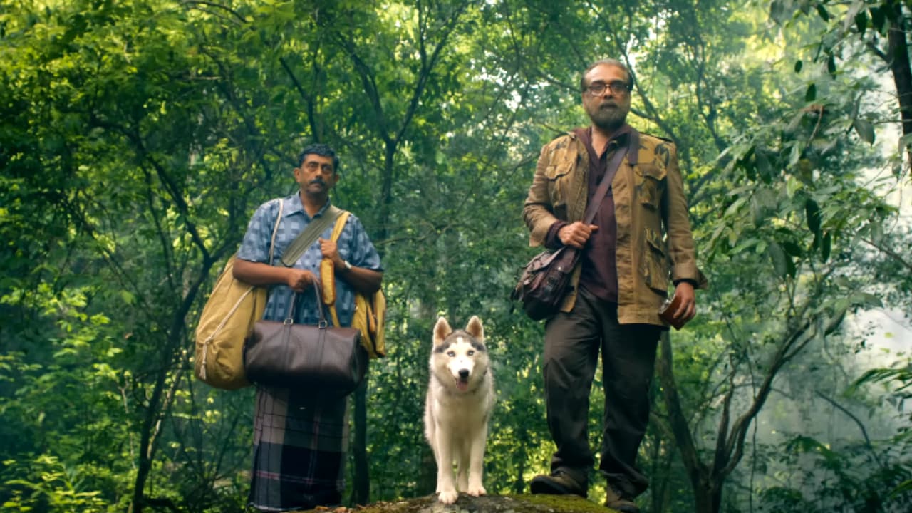 Echo OTT Release: Malayalam Sensation Streams on Netflix from Dec 31st ...