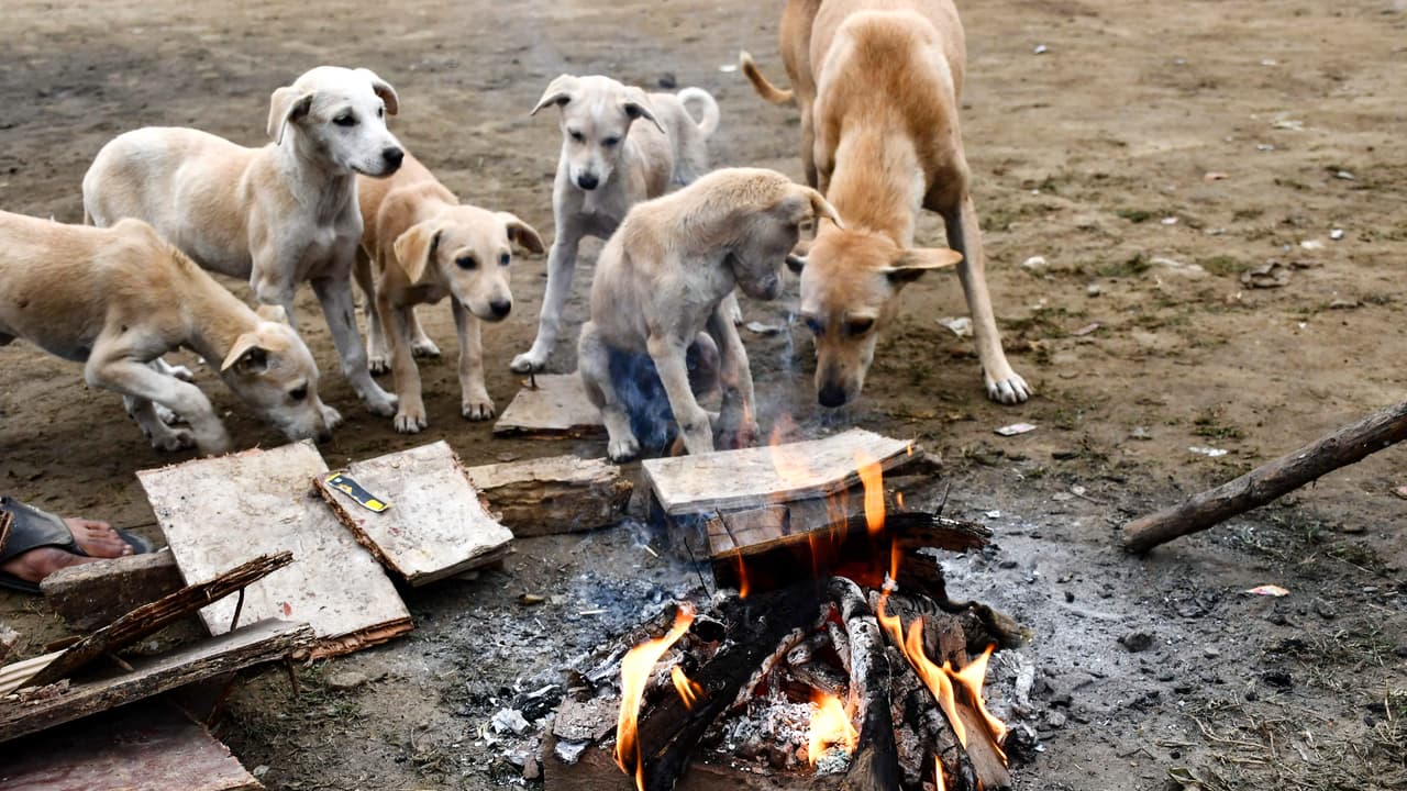 Kolkata Weather Update: Is Winter Almost Over in Kolkata? Alipore Met ...