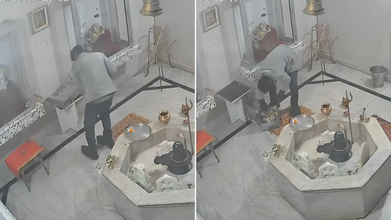 Man Steals Cash from Temple Donation Box in UP's Amroha, Caught on ...