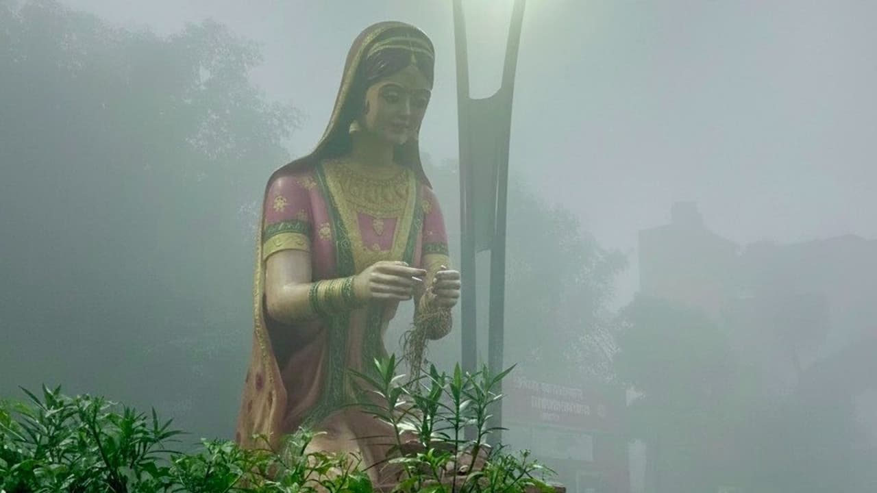 Prayagraj Weather LATEST Update: Dense Fog, Icy Wind Continue to Grip ...