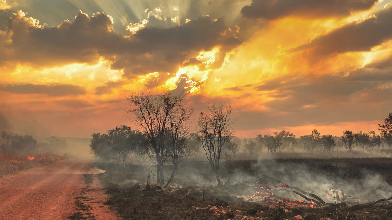 Australia Heatwave Sparks Catastrophic Bushfire Risk as Temperatures ...