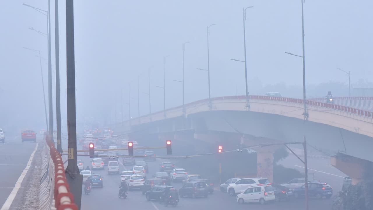 Noida Weather LATEST Update: Cold Wave Continues on Makar Sankranti ...
