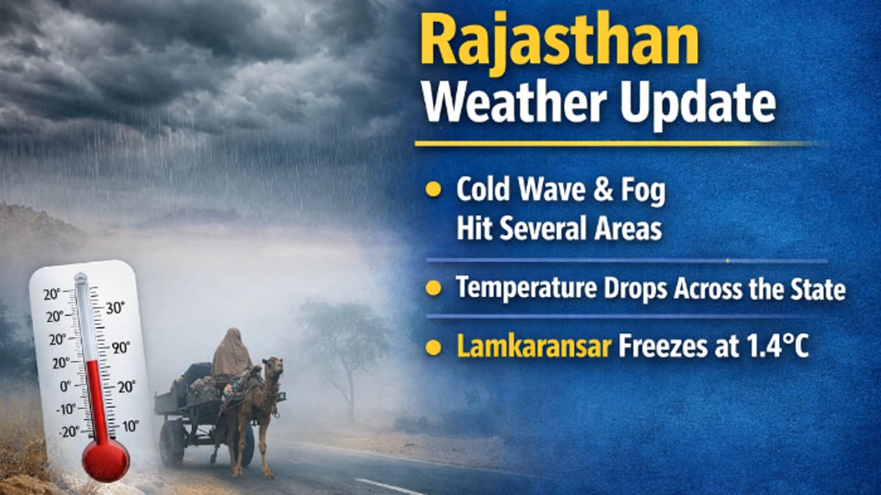 Rajasthan Weather LATEST Update: Cold Wave Grips State Foggy Mornings ...