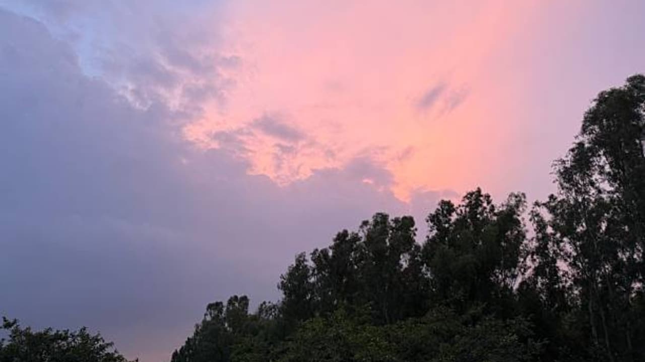 Kolkata Weather LATEST Update: Winter To End In February; Check ...