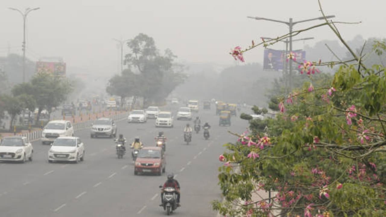 Kolkata Weather LATEST Update: Winter Fades In Late Magh; Rain Forecast ...