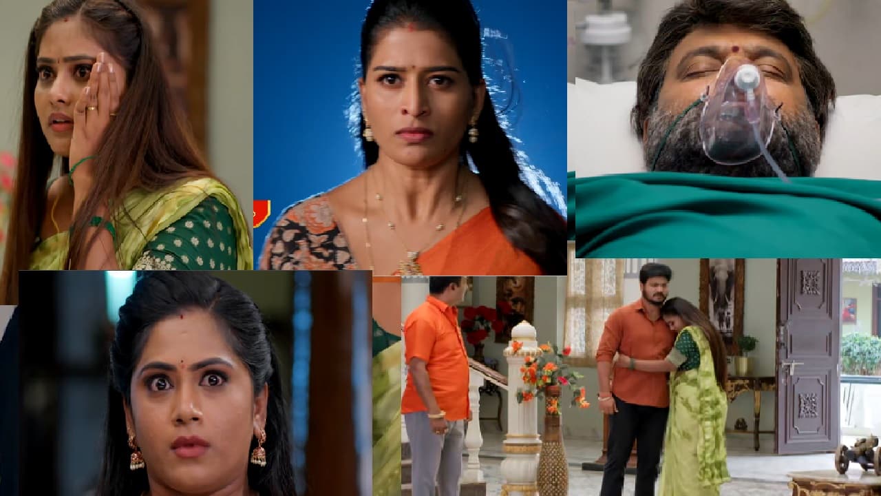 Illu Illalu Pillalu Today Episode Feb 4: అమూల్యను కొట్టిన చందు, వల్లికి ...