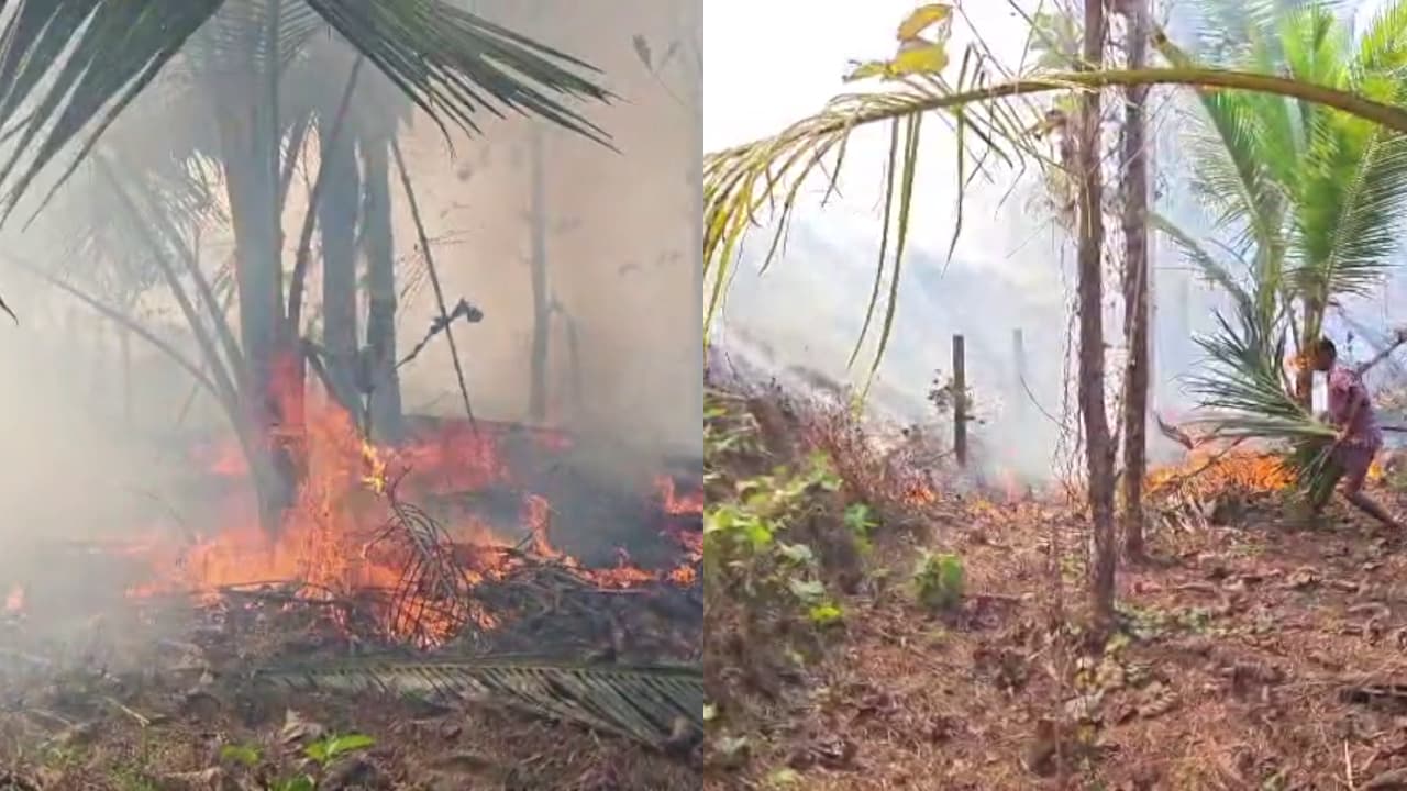 വിമല എസ്റ്റേറ്റിൽ വൻ തീപിടുത്തം Massive fire breaks out at Vimala ...