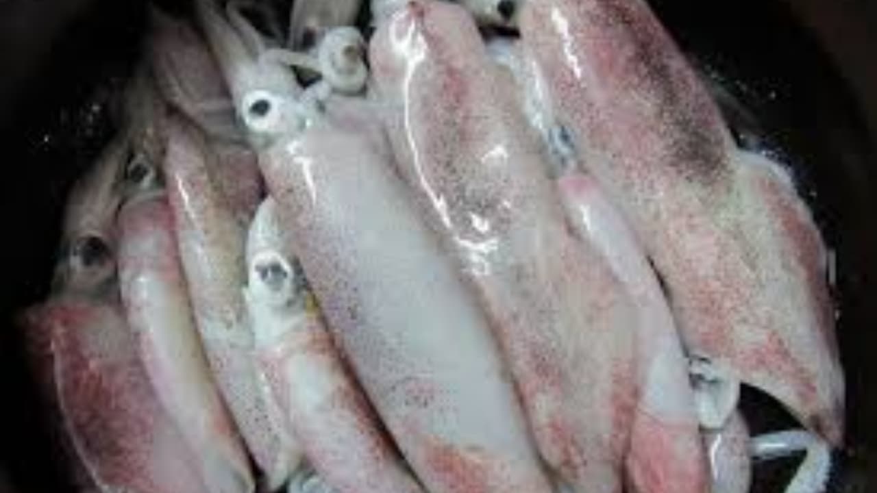 Fish Bone Stuck: মাছ খেতে গিয়ে হঠাৎ গলায় কাঁটা বিঁধেছে? তাহলে করুন এই ...