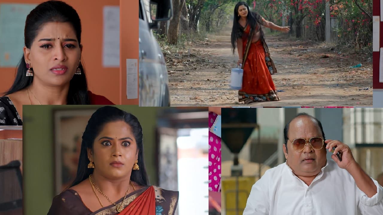 Illu Illalu Pillalu మార్చి 6 ఎపిసోడ్: నర్మదకు ఆఫీసులో అవమానం, రైస్ ...