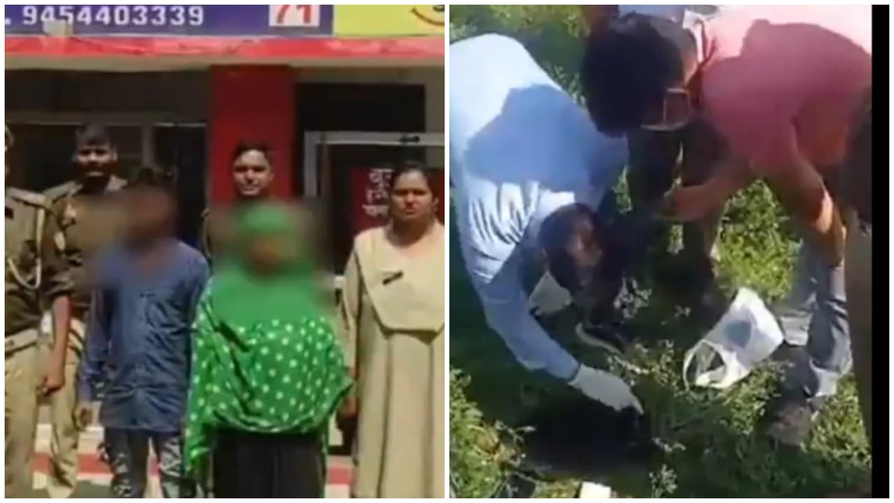 Honour Killing in UP? Mother, Brother Arrested for Killing Teen Over ...