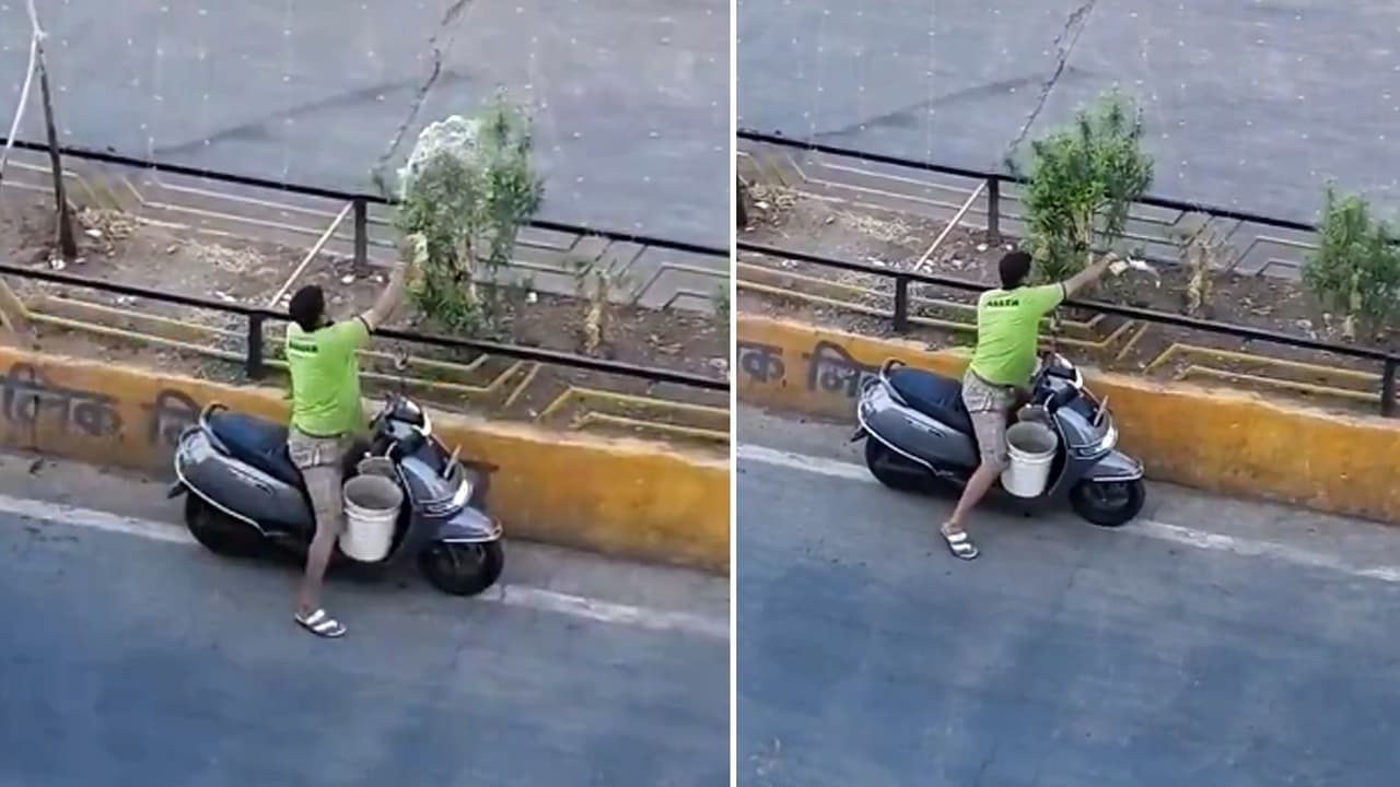Viral Video Shows Man Quietly Watering Road Divider Plants, Netizens ...