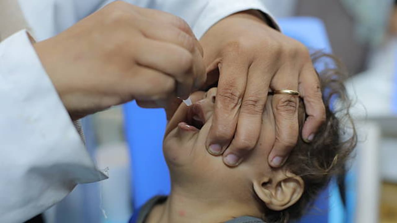 National Vaccination Day 2026: How Vaccines Protect Communities from ...
