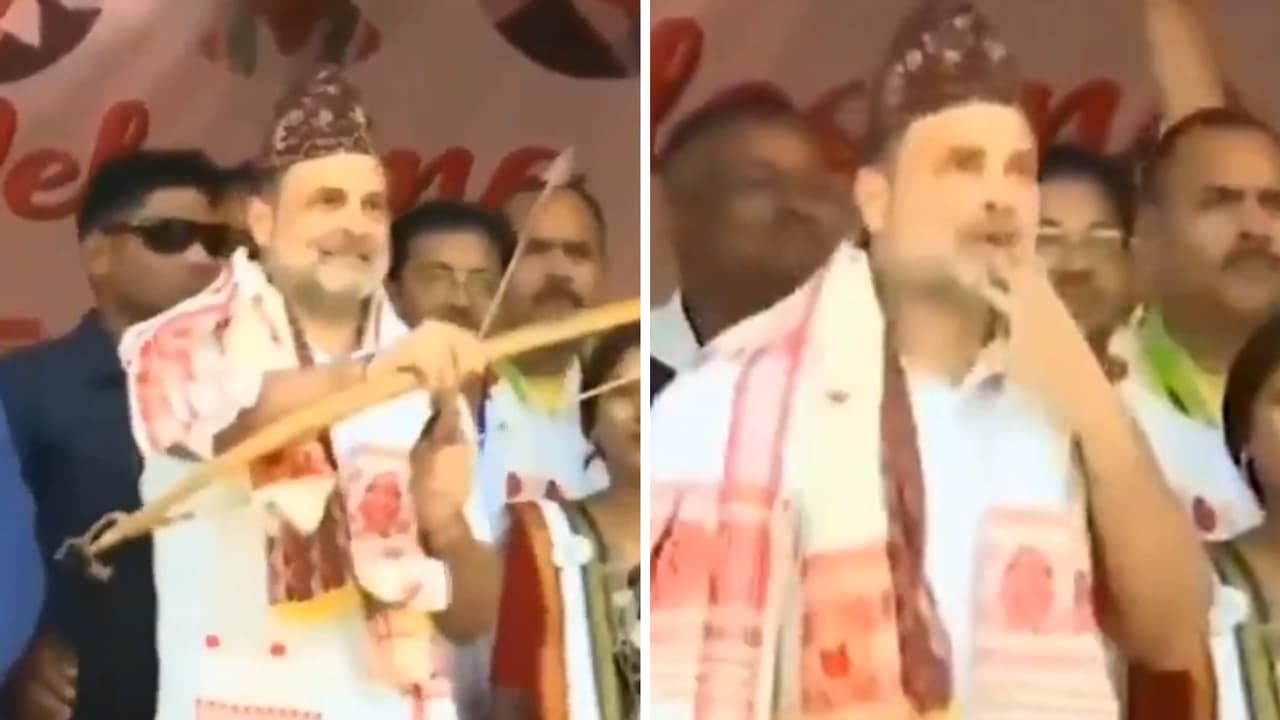 Watch: Rahul Gandhi’s Priceless Reaction After Archery Shot Goes Viral ...