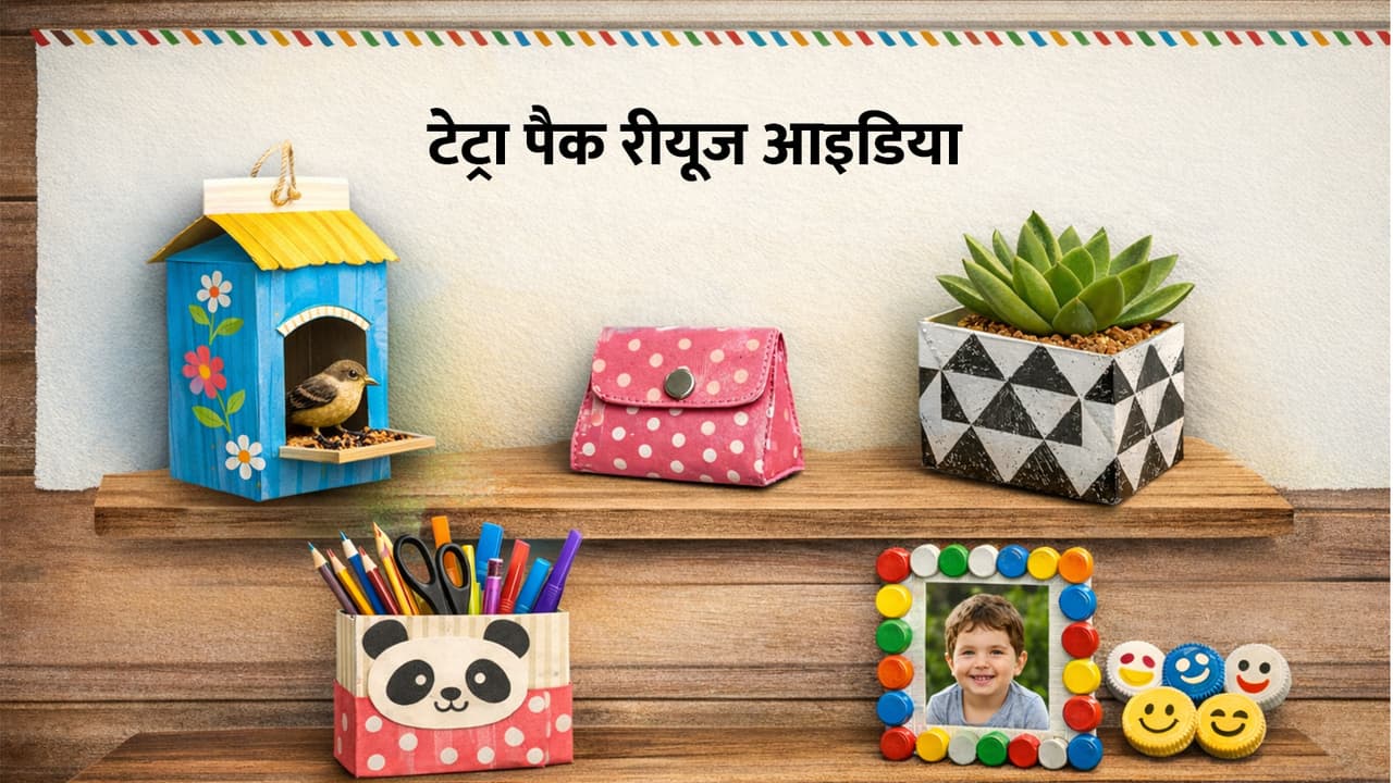 Milk Tetra Pack Craft Ideas: दूध-जूस के पुराने डिब्बे से बनाएं बर्ड ...