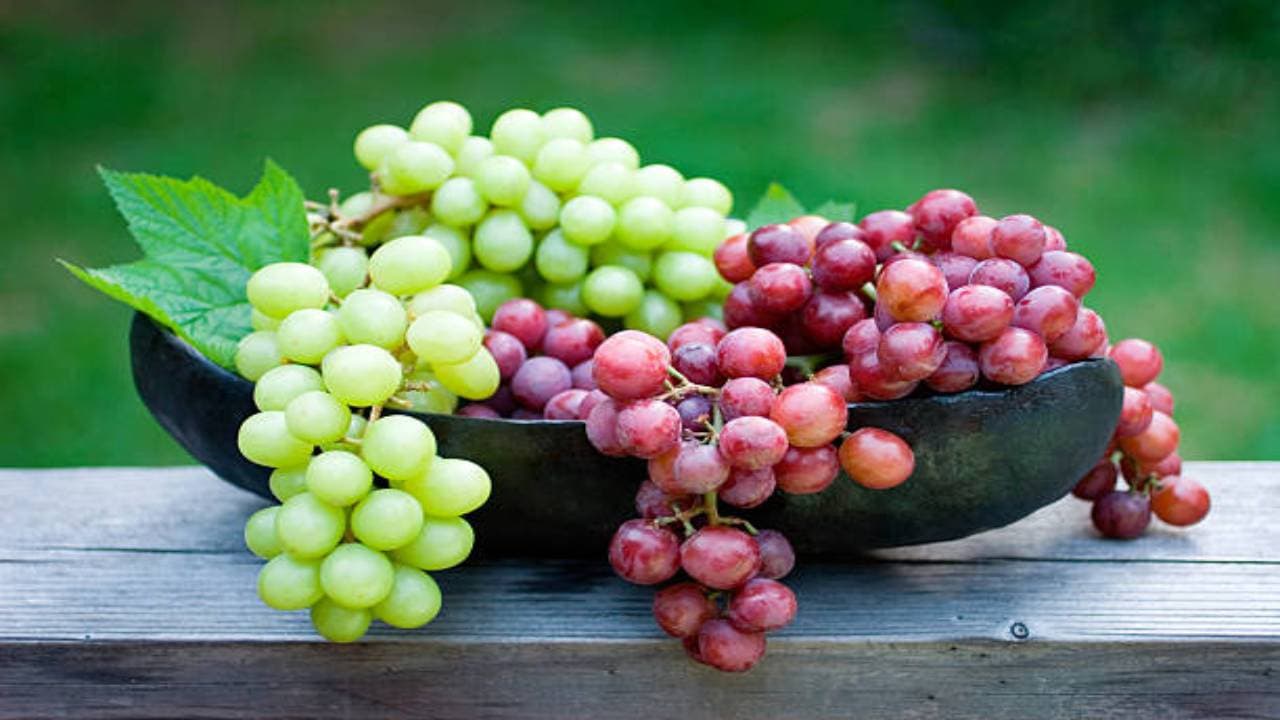 How to grow Grapes: ಮನೆಯ ಪಾಟ್‌ನಲ್ಲೇ ದ್ರಾಕ್ಷಿ ಬೆಳೆಯಬಹುದು! ಈ ಟ್ರಿಕ್ಸ್ ...