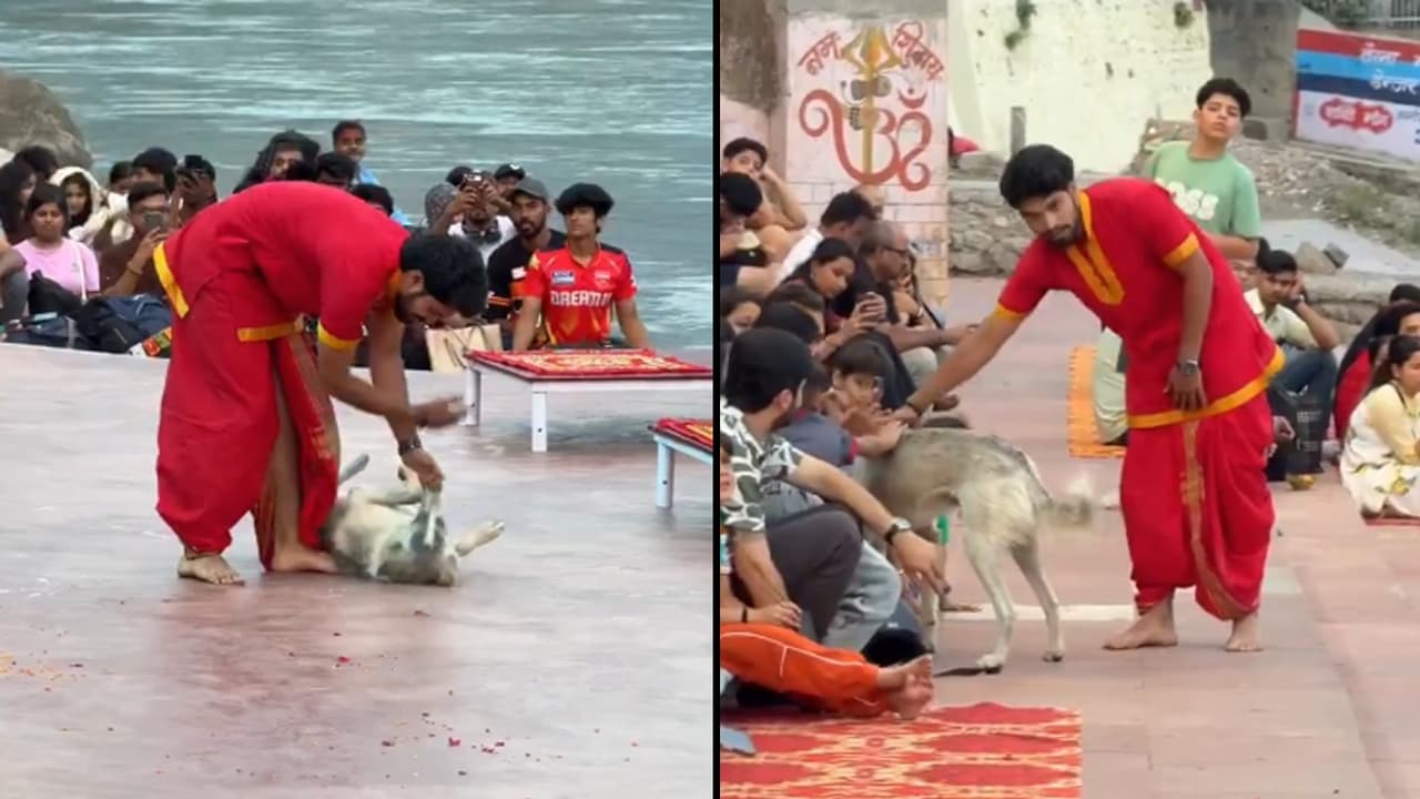 WATCH: Rishikesh Priest’s Kind Gesture to Stray Dog During Ganga Aarti ...