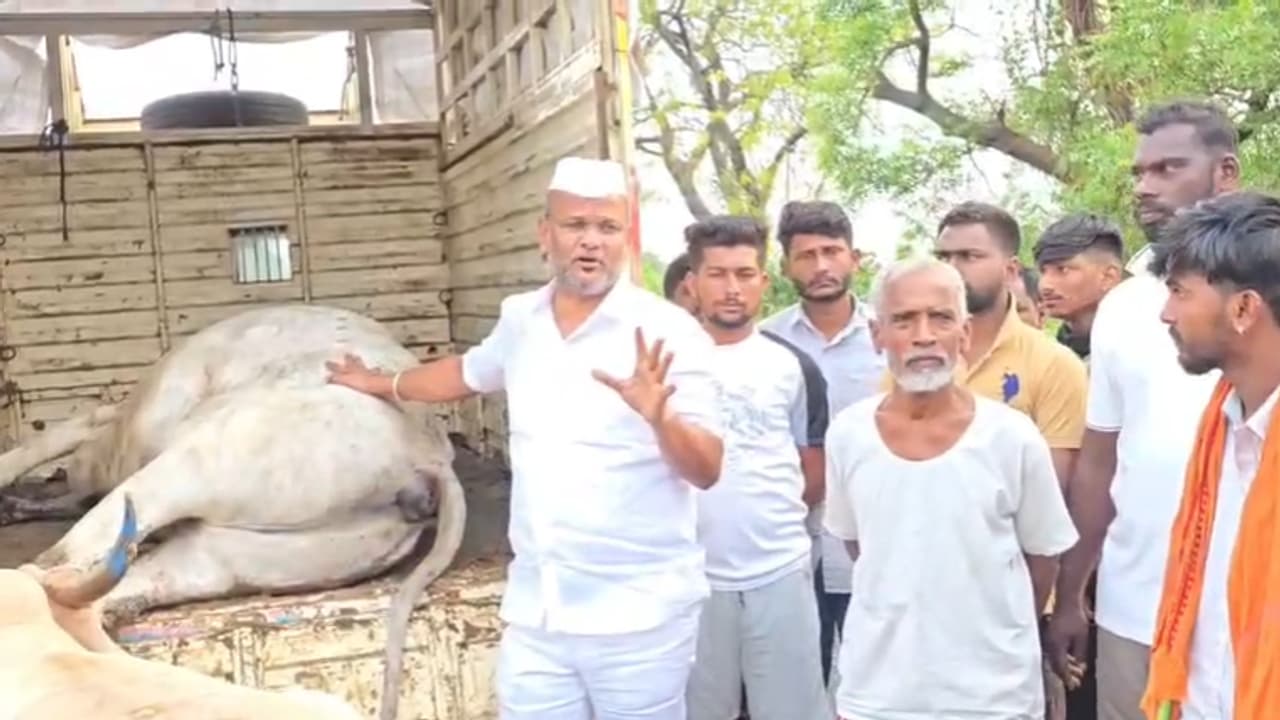 ಕಸಾಯಿಖಾನೆಗೆ ಅಕ್ರಮ ಸಾಗಿಸುತ್ತಿದ್ದ ಲಾರಿ ಅಡ್ಡಗಟ್ಟಿ 23 ಹಸು ರಕ್ಷಿಸದ ಶಾಸಕ ಶರಣು ...