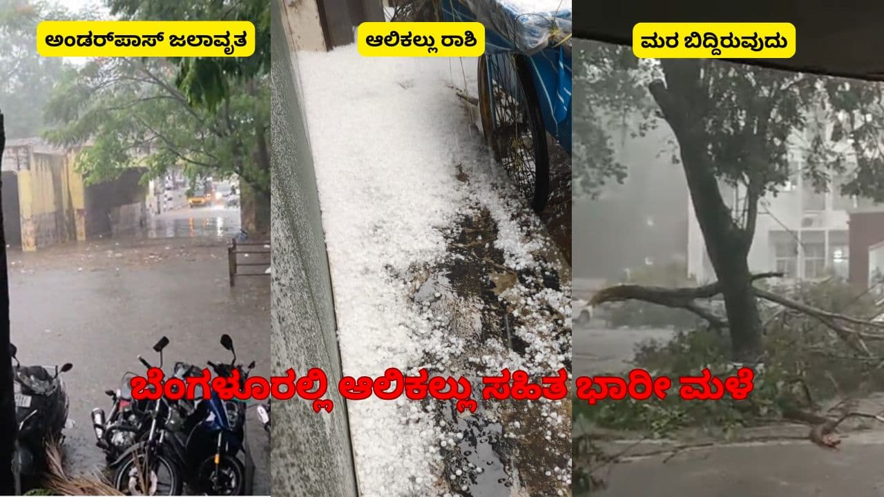 ಆಲಿಕಲ್ಲು ಮಳೆಗೆ ಬೆಂಗಳೂರು ಅಸ್ತವ್ಯಸ್ತ: ದರೆಗುರುಳಿದ ಮರ, ವಿವಿಧೆಡೆ ಜಲಾವೃತ ...