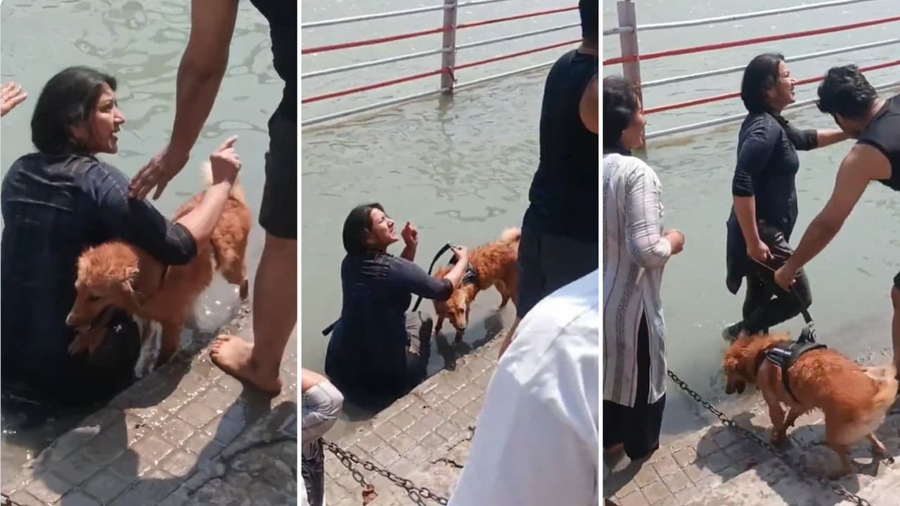 Haridwar Controversy: Pet Dog Bath In Ganga Triggers Argument After ...