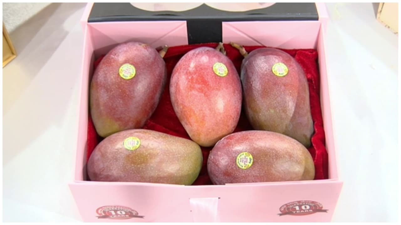 Koppal Miyazaki mango: ಕೊಪ್ಪಳದಲ್ಲಿ ಮಿಯಾಜಾಕಿ ಮಾವು: ₹2.5 ಲಕ್ಷದ್ದು ₹3 ...