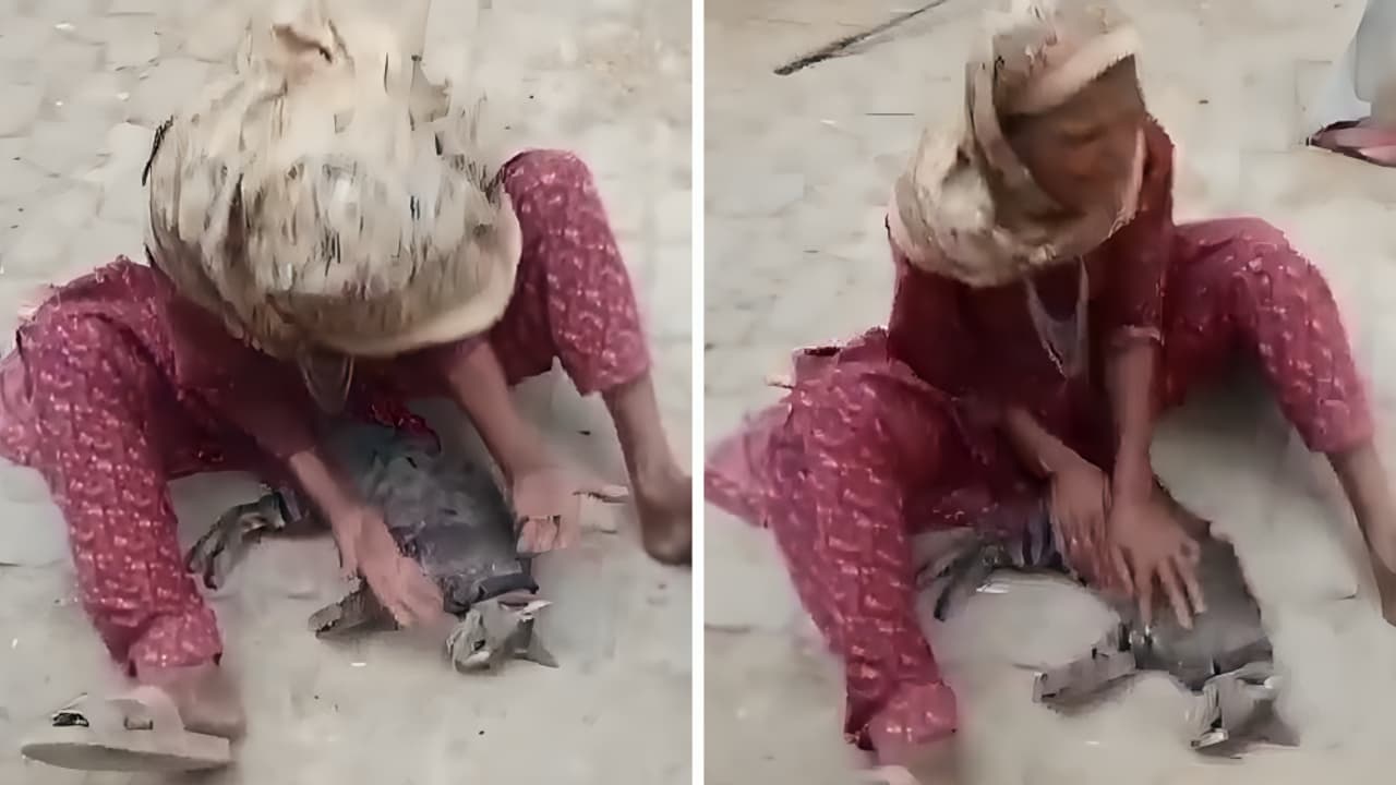 UP Woman Inconsolably Cries Over Pet Cat's Death; Viral Video Leaves ...