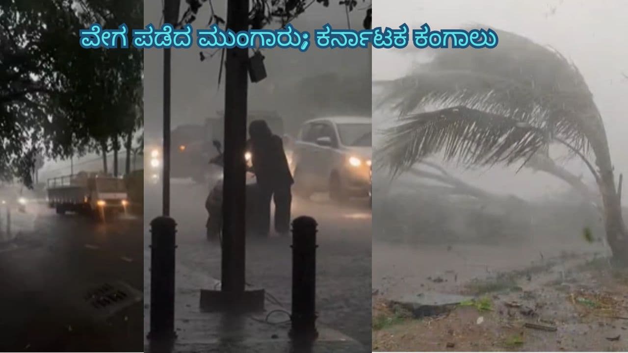 Arabian Sea Monsoon winds gather speed | ರಾಜ್ಯದ 16 ಜಿಲ್ಲೆಗಳಲ್ಲಿ ಮಳೆ ...