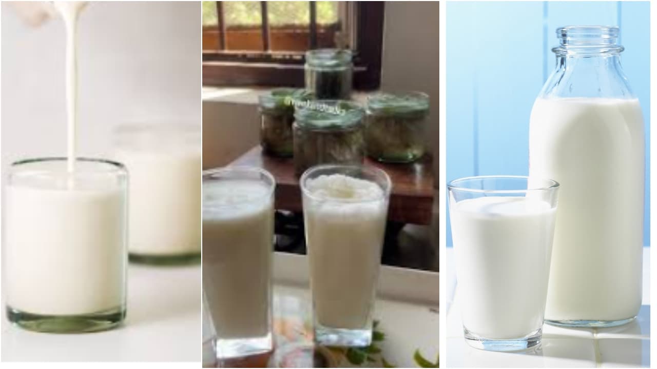 World Milk Day: ನಿದ್ರಾಹೀನತೆಗೆ ರಾಮಬಾಣ, ಕೆಮ್ಮು, ನೆಗಡಿಗೂ ಪರಿಹಾರ ಹಾಲು ...