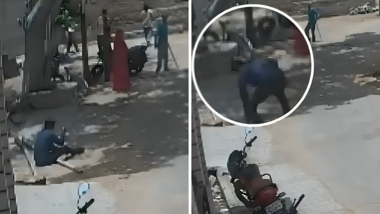 Rajasthan Horror! Woman Killed In Balotra Lane Attack; Husband Injured ...