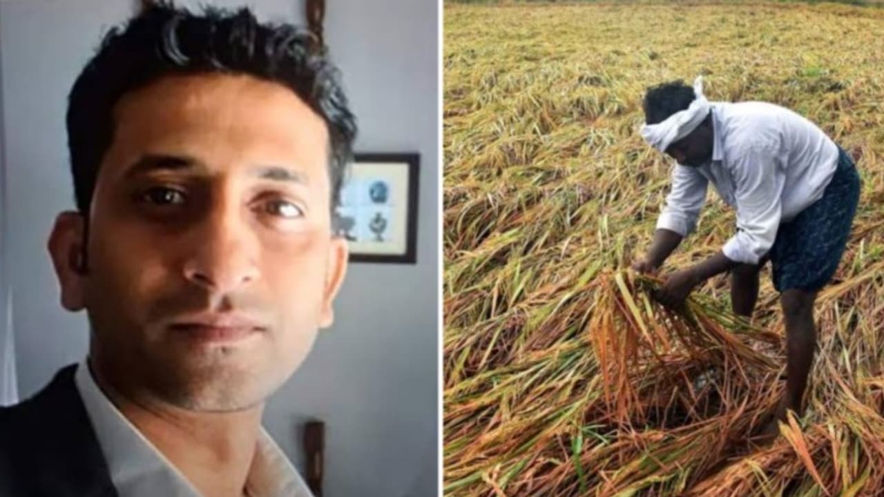 Lightning Horror in Mysuru: Ex-IT Employee Killed While Plucking ...