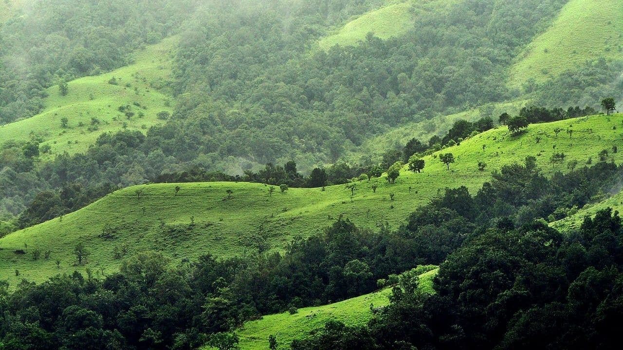 Karnataka: Kudremukh Trekking Reopens from June 1, Advance Booking ...