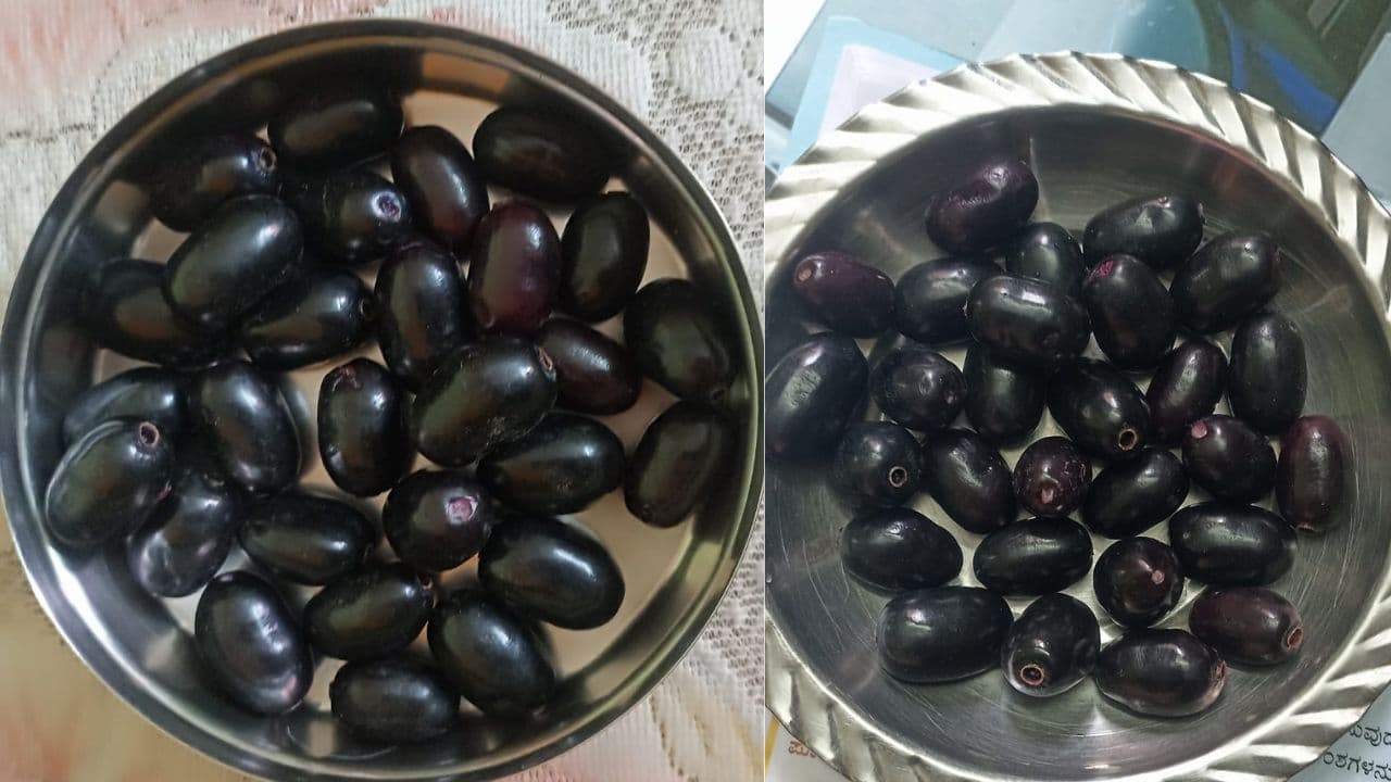 Jamun Benefits: হার্টের স্বাস্থ্য থেকে ডায়াবেটিস, রইল জামের দারুন সব ৫ ...